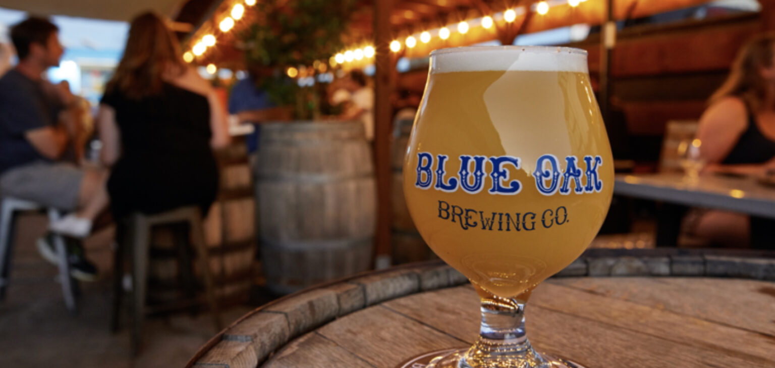 Trivia Night with Stanford/Princeton Alumni at Blue Oak Brewing Co. in ...